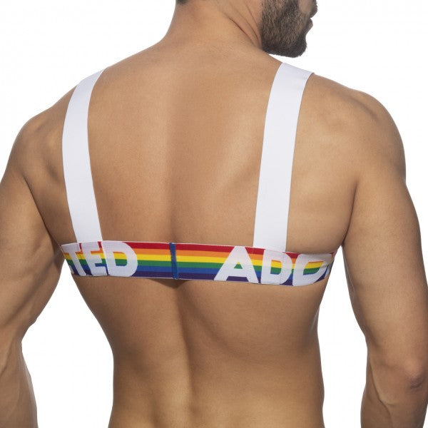 AD RAINBOW HARNESS – Creative Male